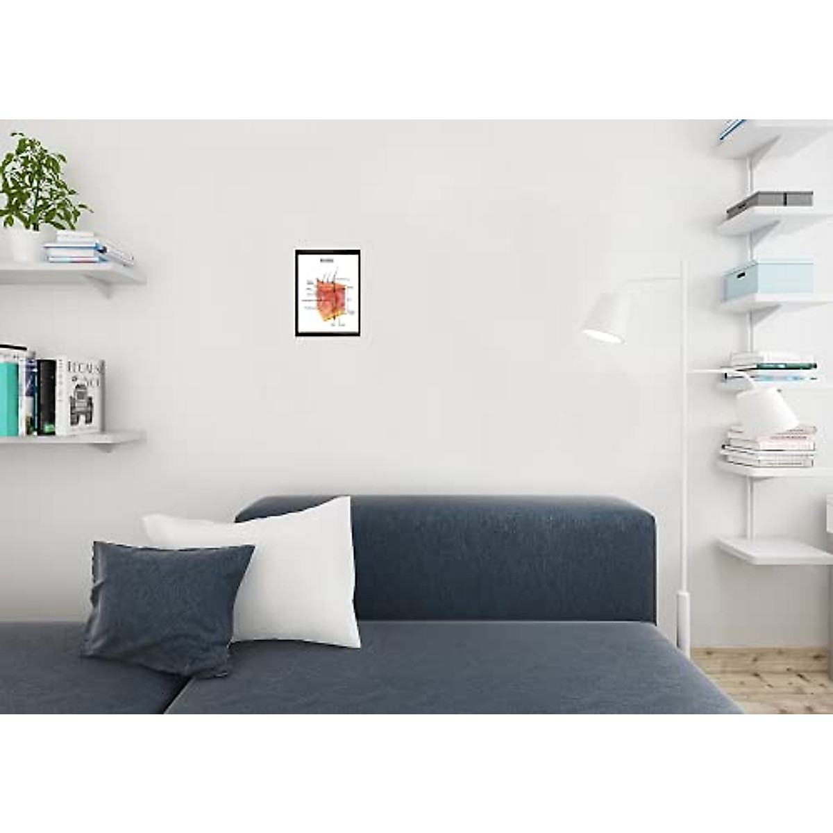 Human Skin Anatomy Cross Section Diagram Chart Art Print Stand or Hang Wood Frame Display Poster Print 13x9