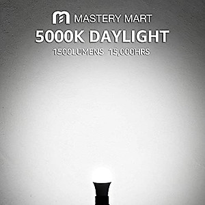 MASTERY MART A19 [100-Watt] Led Light Bulbs, E26 Base, 5000K Bright Daylight White, 1500 Lumens, CRI 80+, Non-Dimmable, Energy Star, UL Listed, 14W [100W Equivalent]- (6 Pack)