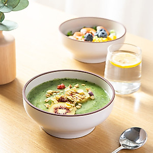 LERATIO Ceramic Bowls Set of 6,26 Ounce Bowls for Kitchen, Cereal, Salad, Pasta, Soup, Dessert etc, Oven & Dishwasher & Microwave Safe,Scratch Resistant,Matte White with Rim