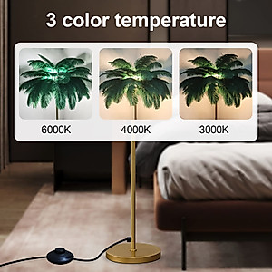 VORDERRY Natural Ostrich Feather Floor Lamp,Gold and Green Atmosphere Feather Lamp, Eye Protection Reading Lamp, Bedroom, Living Room Corner Decoration Lamp (Green)