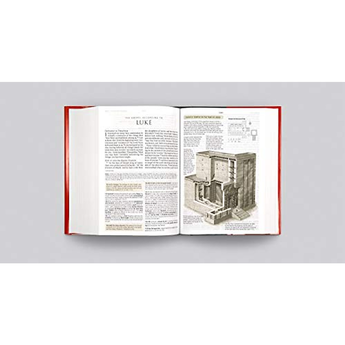 ESV Study Bible, Large Print