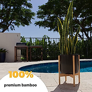 Bees & Buds Plant Stands for Indoor Plants - Mid-Century Modern Tall Plant Stand - 10 inch Bamboo Pot Planter Holder - Flower Planters Holders - EXCLUDING Plant Pot