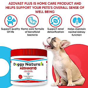 Azovast Plus Kidney Health Supplement for Dogs & Cats, Oral Powder (6 Oz) - (120 Doses/Jar) NO Refrigeration Required - Help Support Kidney Function & Manage Renal Toxins (Made in U.S.A) (6 Oz)