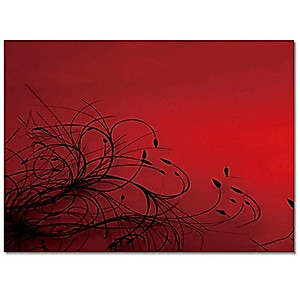 Retro Traditional Red Black Flowers Area Rug, Abstract Gradient Flower Kids Floor Carpet, Indoor Non-Slip Rug for Room Sofa Living Room Mat Bedroom Home Decor Floor Mats-5x7ft
