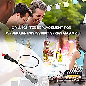 Apromise Grill Igniters - Grill Igniter Replacement for Weber Genesis Silver/Gold/Platinum and Spirit 200/300 Series Gas Grill