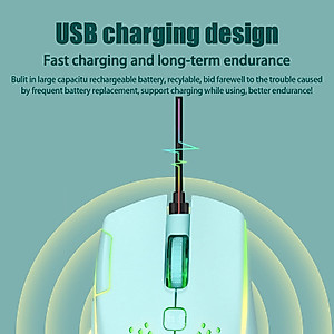 VEGCOO Wireless Gaming Mouse, C30 Silent Click Wireless Rechargeable Gaming Mouse with Double-Click Key and Colorful LED Lights, 3 Level Adjustable DPI for Gaming and Working (Blue)