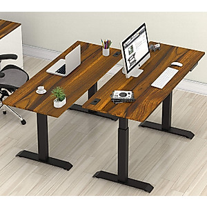 SHW 55-Inch Large Electric Height Adjustable Standing Desk, 55 x 28 Inches, Walnut