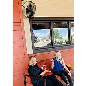 TPI Corporation U18-TE Series Industrial Mounted Workstation Fan, Versatile Wall or Ceiling Mount Fan, 3 Speed Motor, 120 Volt, 10' Cordset, Pull Chain Switch