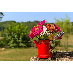 Zinnia Speciality Roll Out Flowers - Concentrated Flower Planting Gardener Indoor Outdoor Kit - by Garden Innovations
