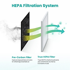 Brightify Air Purifier Filter Replacement for COWAY AP-1512HH Mightty,H13 HEPA Filter Replacement, 2 Pack with 8 Carbon Filters