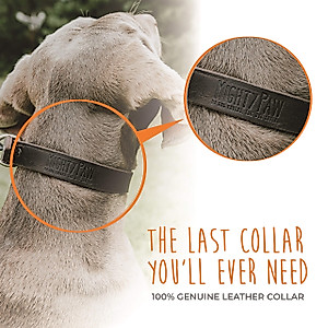 Mighty Paw Martingale Dog Collar - No Pull Design - Stainless Steel Chain - Limited Chain Cinch Training - Dog Collar Leather Martingale - Brown Leather Martingale Training Collar - Large Size Collar