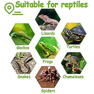 Hamiledyi Reptile Hides and Caves Bearded Dragon Log Hide Snake Hideaway Wood Shape Gecko Hideout Hut Resin Birch Bark Tank Decor for Lizard Ball Python Turtle Spider