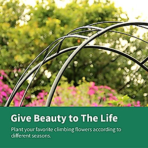 SCENDOR Wedding Arch Garden Arbor Curved Metal Durable Iron Garden Arch Trellis for Climbing Plants Outdoor Ceremony