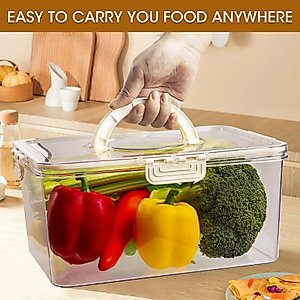 Fruit Containers for Fridge，Fresh Food Containers for Refrigerator，Fruit Containers for Fridge Keep Fresh，Food Box Container with 3 Removable Colanders for Berry，Vegetable, Refrigerator Organizer Bins