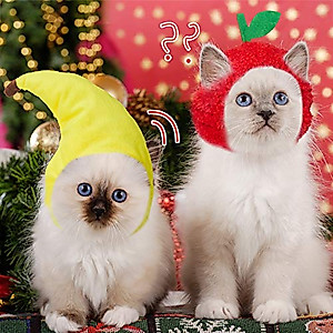 Weewooday 5 Pieces Cat Hat Cat Costume Bunny Hat with Ears Funny Banana Pineapple Cat Hat for Cats and Small Dogs Kitten Puppy Party Costume Accessory Headwear(Cute Style)