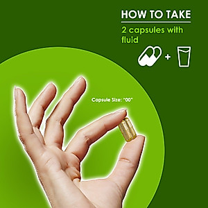 VH Nutrition FOLLIFORM | DHT Blocker for Men and Women* | 1500mg Saw Palmetto, Pygeum, Nettle Root Formula | Supports Healthy Hair Growth and Scalp Health | 60 Capsules