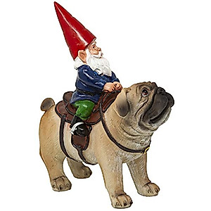 Funny Guy Mugs Garden Gnome Statue - Gnome Riding a Pug - Indoor/Outdoor Garden Gnome Sculpture for Patio, Yard or Lawn