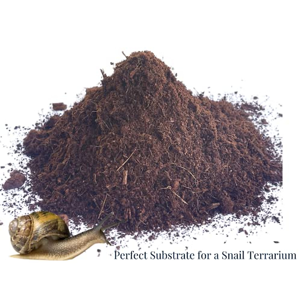 Snout and Shell Organic Coco Coir Peat Bedding Ready to Hydrate Use Substrate for Reptile or Amphibian Perfect for Frogs, Salamanders, Geckos and Snakes Increase Humidity 1.4 Lbs - 650 Grams