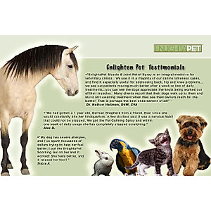 JADIENCE Dog, Horse & Cat Skin Soothing Gel: Homeopathic Treatment for Hotspots, Rashes & Sores | All Natural Pet Wound & Lesion Care | Provides Relief for Itching, Discomfort & Pain | EnlightAPet