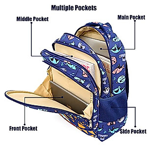 Backpack for Boys Dorlubel Lightweight Shark School Backpack with Insulated Lunch Tote Preschool Kindergarten Elementary Book Bag Set With Chest Strap(Shark Wave)