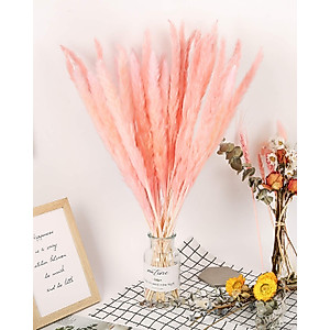 Omldggr 20 Pieces Natural Dried Pampas Grass Natural Dried Flowers Dried Reed Grass for Home Garden Office Party Wedding Decor(Pink)