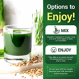 Dr. Berg's Wheatgrass Superfood Powder - Raw Juice Organic Ultra-Concentrated Rich in Vitamins and Nutrients - Chlorophyll and Trace Minerals - 60 Servings - Gluten-Free Non-GMO - 5.3 oz (1 Pack)