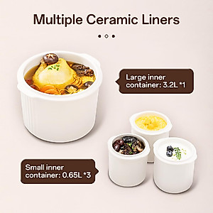 TIANJI Electric Stew Pot, Ceramic Pot for Soup, Desserts, Bird's Nest, Multiple ceramic liners, DGD32-32CG
