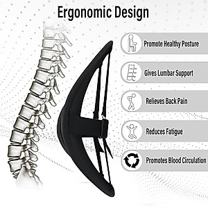 SANHSEHOME Lumbar Support Back Support for Office Chair 2 Pack Lumbar Support Pillow for Car Chair Back Support with Triple Layer Mesh & Adjustable Straps