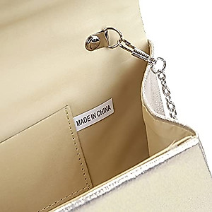 Gionforsy 1920s Party Handbag (Silver)