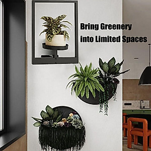 Picture Frame Wall Plant Holder, Window Plant Shelves, Plant Frames for Wall, Metal Plant Wall Frame, Metal Plant Stand,Modern Plant Stand,Plant Table for Multiple Flower Pots Modern Style (2pc)
