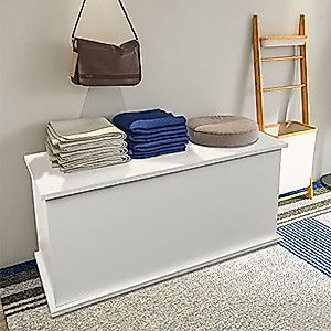 40" Storage Chest Trunk, Modern Wood Chest Kids Toy Box Organizer with Lift Top and 2 Safety Hinges Sturdy and Large Storage Trunk for any Playroom, Bedroom and Living Room