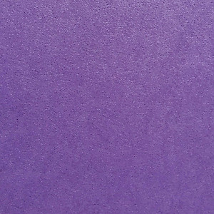 Cardstock Warehouse Pop Tone Grape Jelly Purple - 12 x 12" - 65 Lb. / 175 Gsm Matte Premium Cardstock Paper - 25 Sheets