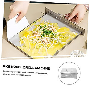 1pc Roll Rice Roll Stainless Steel Basket for Vegetables Vegetable s Steamed Vermicelli Roll Chinese Rice Roll Rice Roll Making Tool Drawer