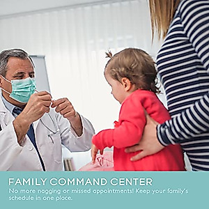 S&O Fruity Magnetic 2023 Fridge Calendar from July 2022-Dec 2023 - Tear-Off Refrigerator Calendar to Track Events & Appointments - 18 Month Magnetic Calendar for Fridge for Easy Planning - 8"x10" in.