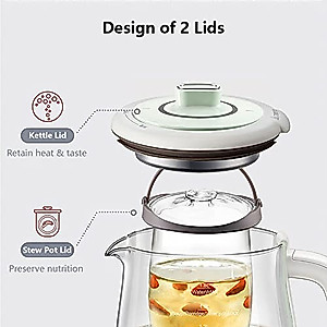 Bear YSH-C18S2 Health Pot, Electric Kettle Tea Maker with Infuser, Glass Kettle & Stew Pot, 16 Menus 1.8L 120V, Green