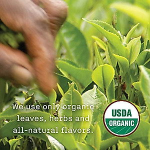 Allegro Tea Organic Breakfast Blend Tea Bags, 20 Count