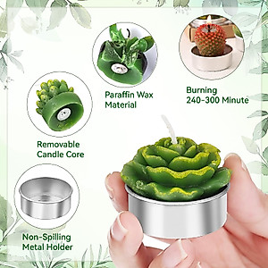 Succulent Cactus Candles (18 Styles,3 Thanks Cards&Gift Boxed) Succulent Decorative Tealights for Home Décor, SPA, Wedding, Baby Shower,Birthday Gift,Mothers Day Gifts,Christmas Gift Decor