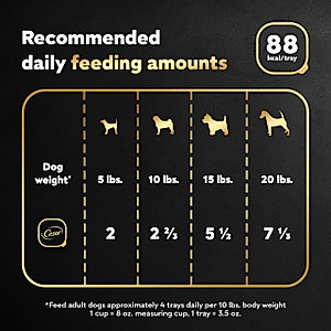 CESAR Soft Wet Dog Food Filets in Gravy Turkey Recipe, (24) 3.5 oz. Easy Peel Trays