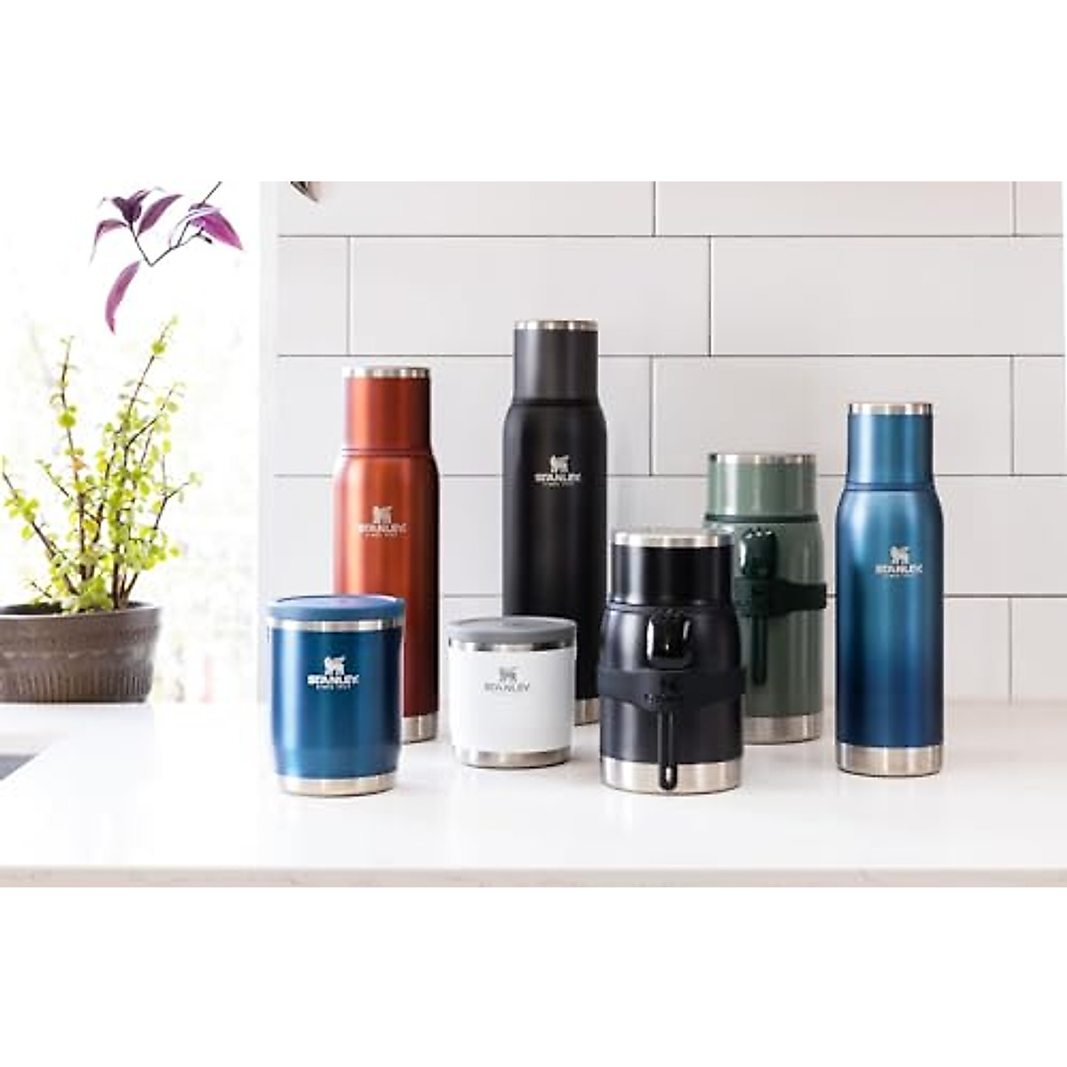 Stanley Adventure To-Go Food Jar 18 oz | Vacuum Insulated Thermos Food Container | Wide Mouth Screw On Lid | Packable for Travel | Stainless Steel with Leakproof Lid | BPA-Free | Tigerlily Plum