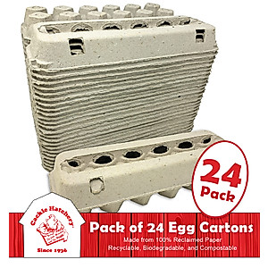 Vented Paper Pulp Egg Cartons (24 Pack)