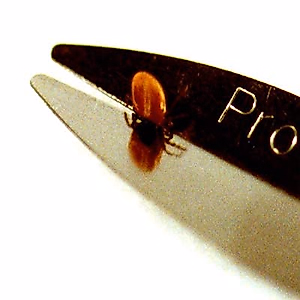 ProTick Remedy 5-Piece Kit (2 Pack) – Precision Steel Tick Remover, 5X Magnifier, Chain, Tick ID Card, Tick ID Information and Protection. Removes All Tick Species and Sizes from Humans and Animals