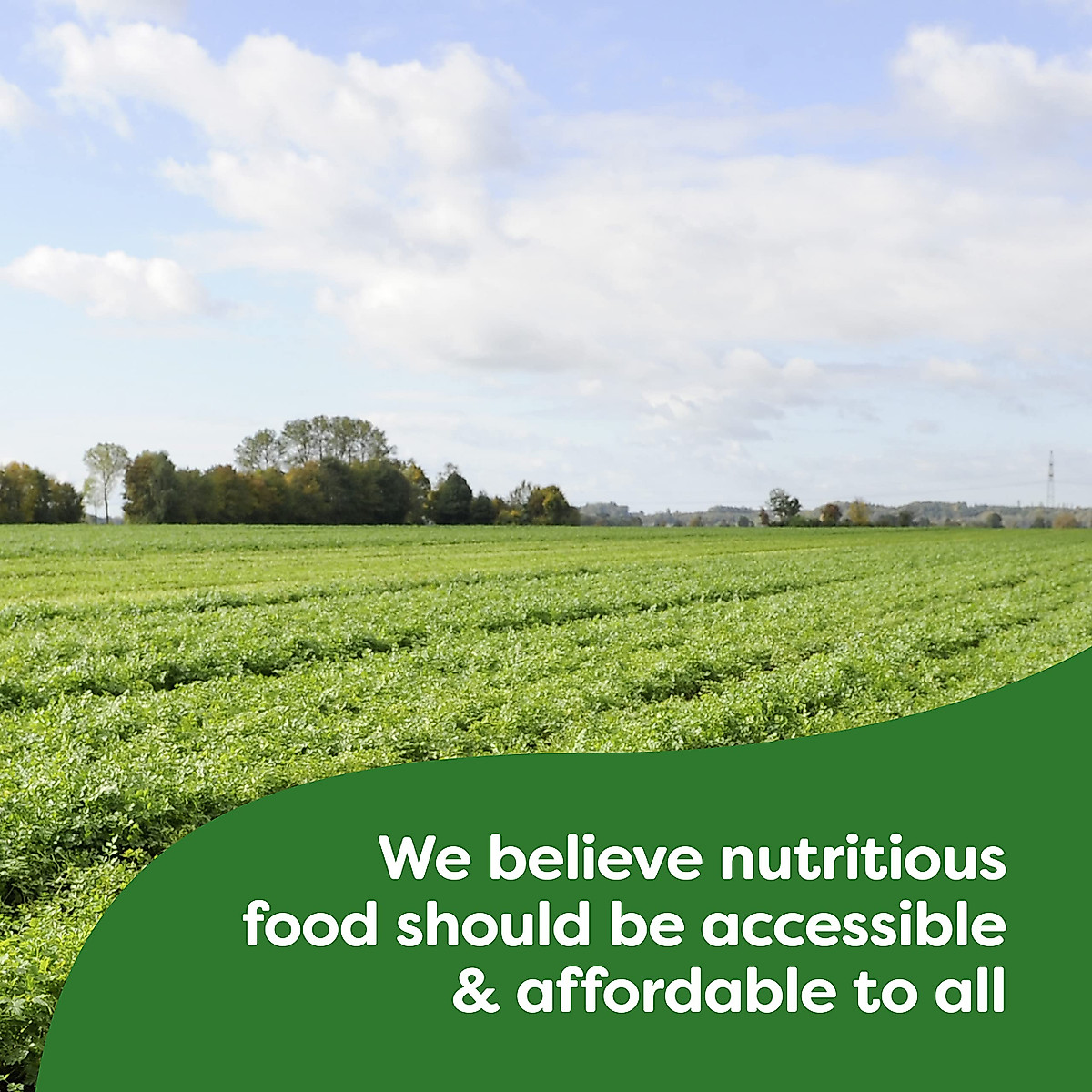 Knorr Pasta Sides Pasta Sides Dish, Butter 4.5 oz (Pack of 8)