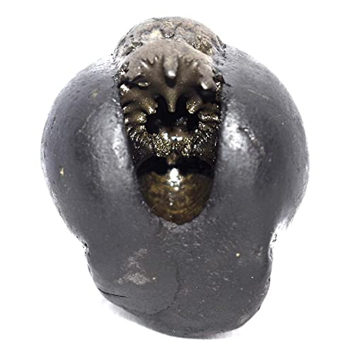 Rudrakshguru Wooden Bhuvaneshwari Shaligram (Black, 2.50 x 2-inch)