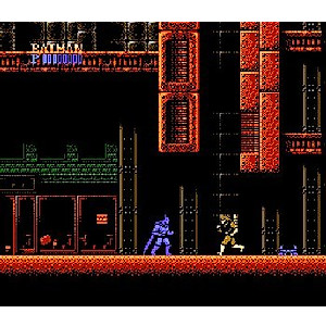 Batman: The Video Game