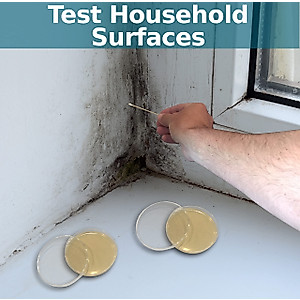 Malt Extract Agar Plates - Evviva Sciences - Great for Mushrooms, Molds, Fungus - 10 Prepoured MEA Petri Dishes - Also Great for Science Fair Projects!