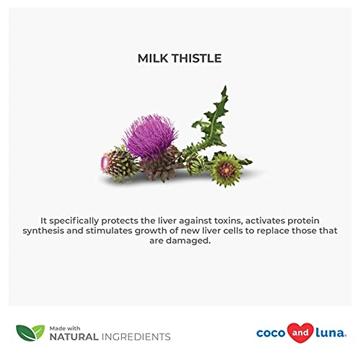 Milk Thistle for Dogs and Cats – Liver Support for Dogs and Cats, Milk Thistle Liver Detox, Dog Liver Supplement, Supplements for Dogs and Cats, Cat and Dog Detox – 2oz (60ml)