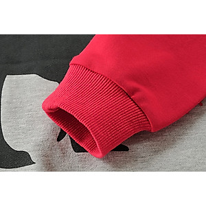 Little Hand Toddler Boys Valentine's Day Clothes Dinosaur Sweatshirt Pullover Long Sleeve Shirts 3t