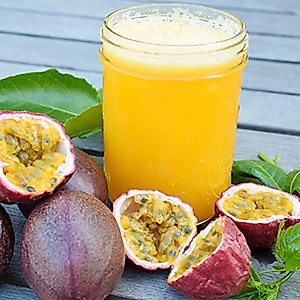 QAUZUY GARDEN 30 Seeds Passion Fruit Seeds Passiflora Passionflower Vine Maypop Granadilla Edulis Seeds- Organic Non-GMO Seeds- Fast-Growing &Low-Maintenance