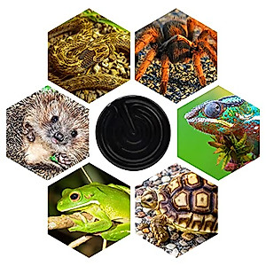 LLCHB Ceramic Heat Emitter, Ceramic Heat Lamp Bulb, Infrared Reptile Heat Emitter Heater Lamp Bulb for Turtle Snake Chicken, 2 Packet (150)