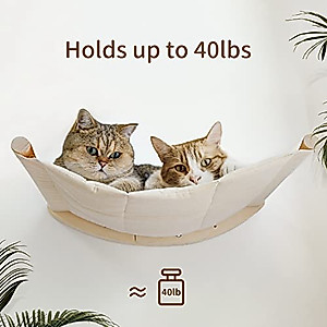 Yehnna Cat Hammock Wall Mounted Cat Shelves, Cat Wall Shelf, Cat Wall Shelves, Cat Wall Furniture, Cat Wall Bed Cat Perches for Sleeping